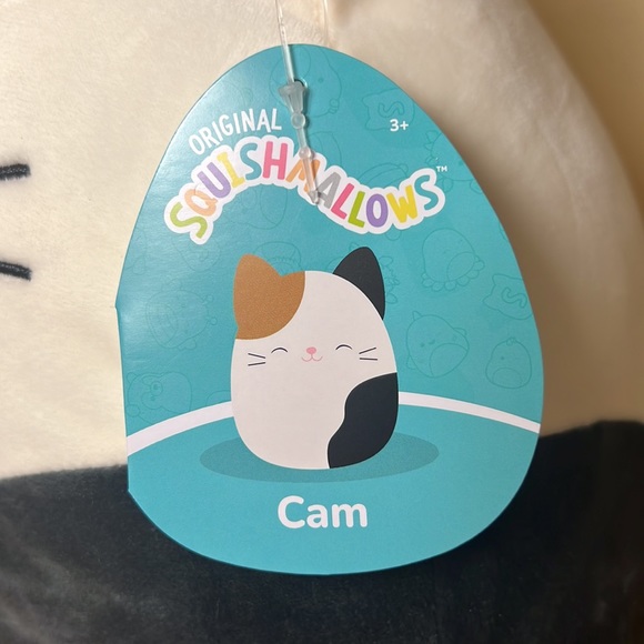 Squishmallows | Toys | 2 Cam The Cat Nwt Rare Squishmallows Kellytoy ...